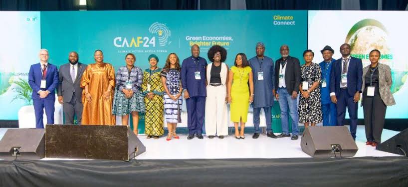 NGO Launches Ambitious Tree-Planting Campaign to Combat Environmental ...