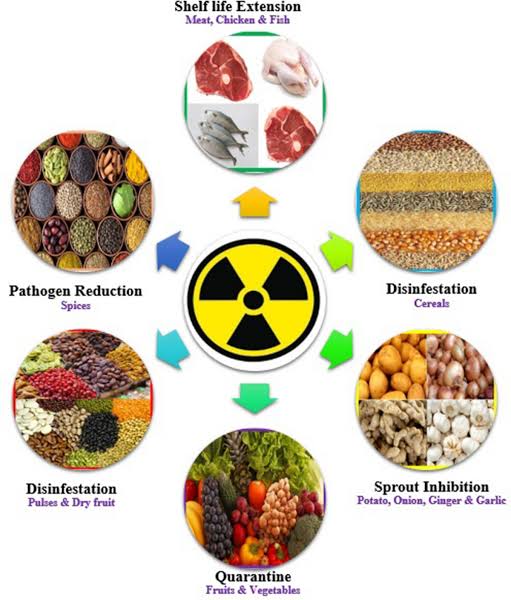 Harnessing Irradiation Tech for Food Preservation in Nigeria - Jollof Mash